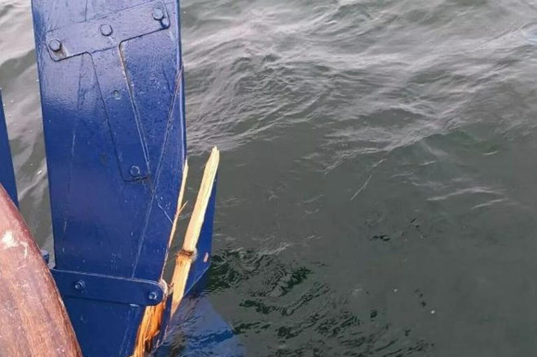 Killer whales attacking tourists boats as crew members 'scared'