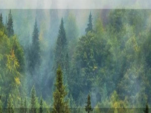 MoEFCC releases new, improved methodology to calculate Green Credit