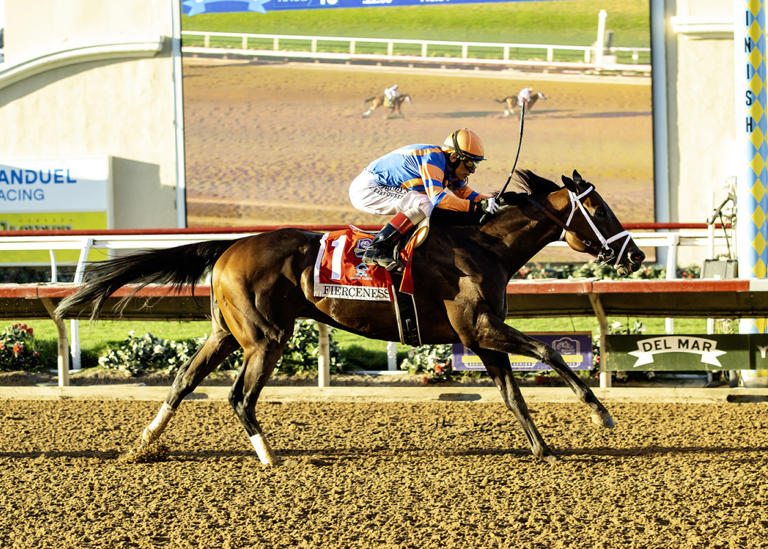 Breeders’ Cup Classic Buzz: Todd Pletcher Not Concerned About ...