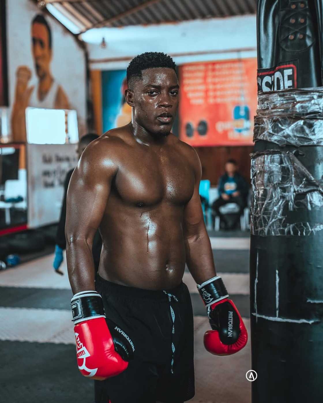 Zari breaks down as hubby Shakib knocked out in boxing match, fans ...