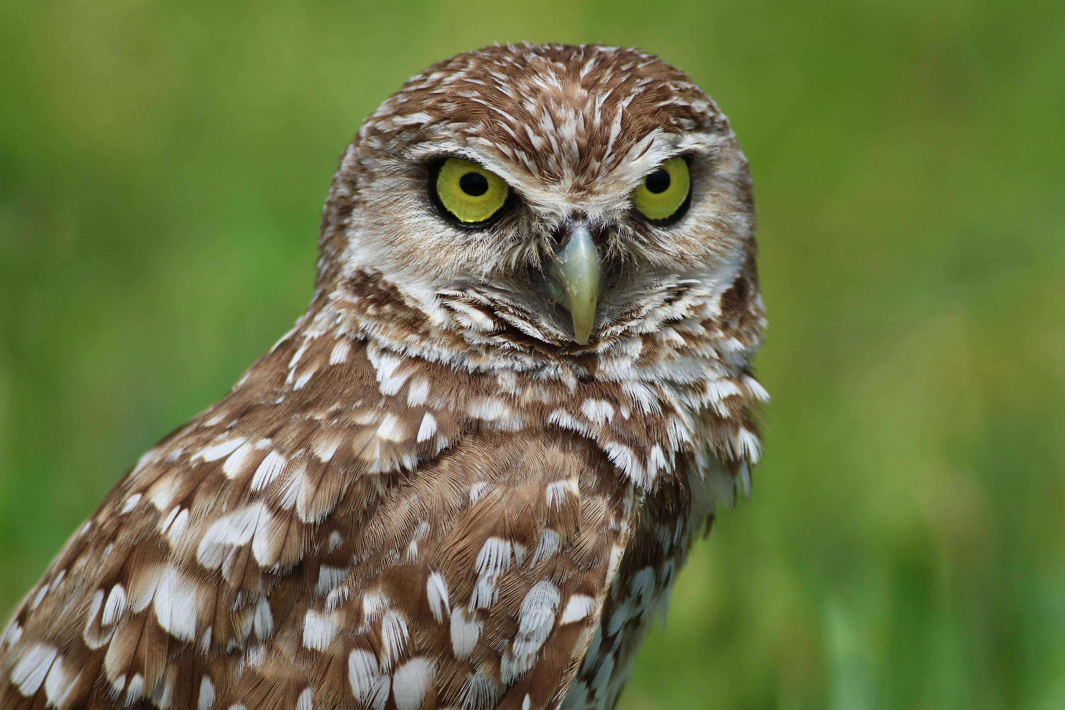 Best SW Florida reader photos include Cape Coral, Fort Myers, Bokelia ...