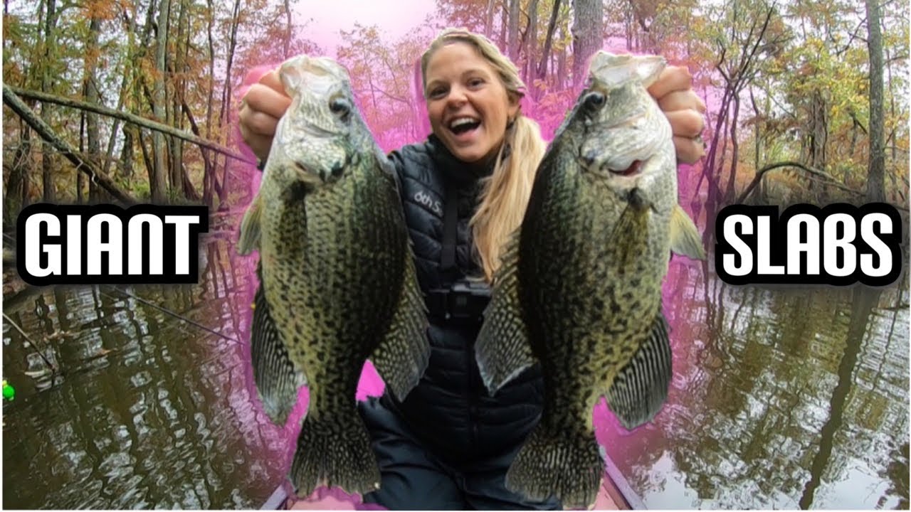 Catching huge slabs with jigs and bobbers in swamp