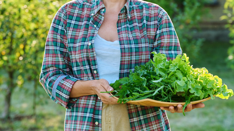 17 Edible Ground Cover Plants That'll Make Your Garden Look (And Taste ...