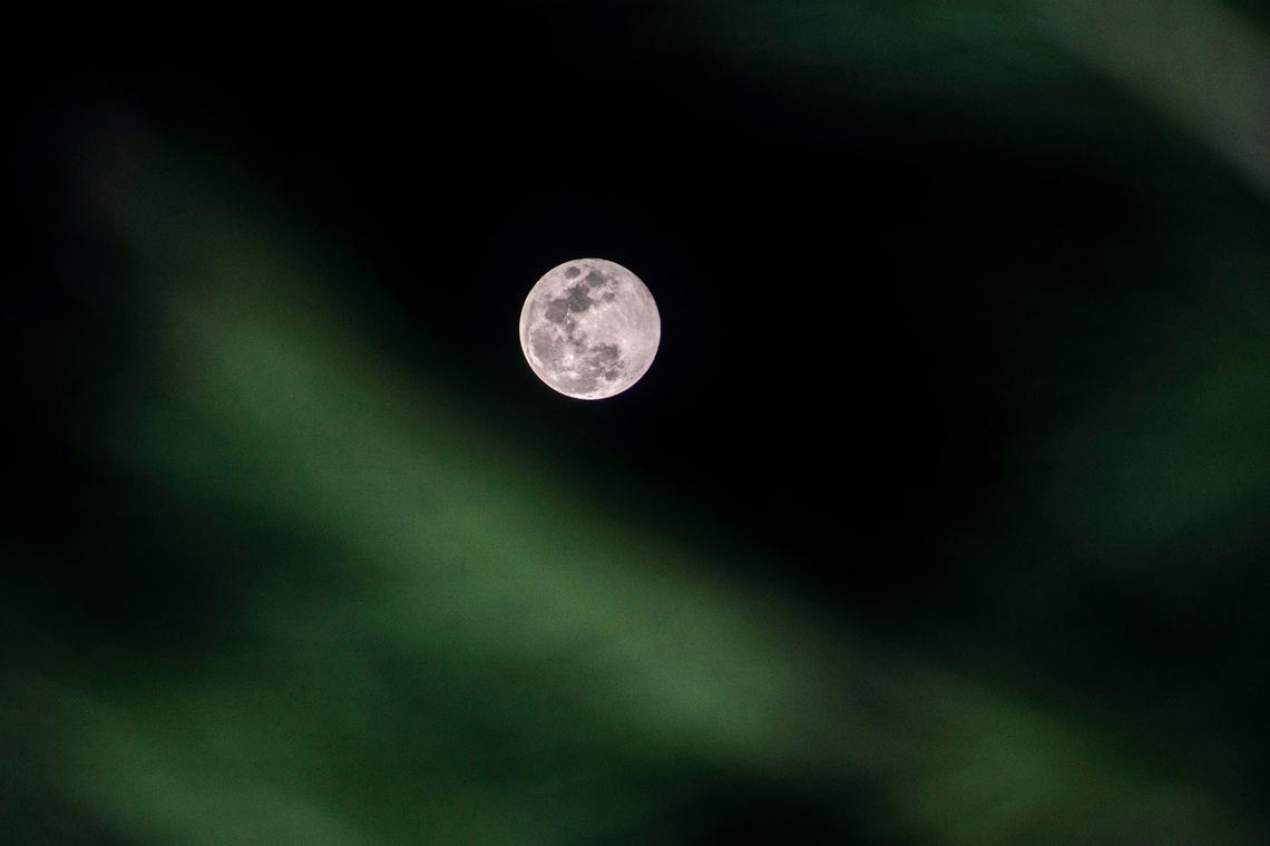 Here's when to catch the full ‘corn' moon and this year's supermoons ...