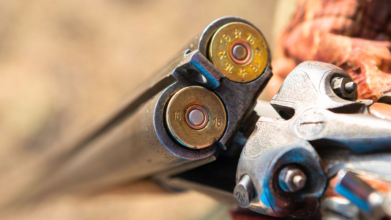 Shotguns that handle slugs better than advertised