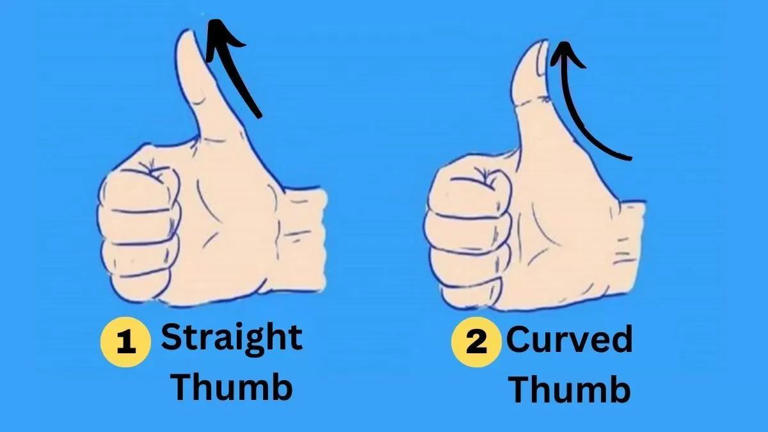 Do You Have A Straight Thumb or A Curved Thumb? Your Thumb Reveals Your ...