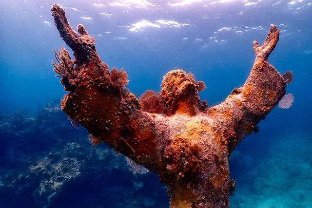 I Grew Up in the Florida Keys—These Are the Places That Keep Me Coming ...