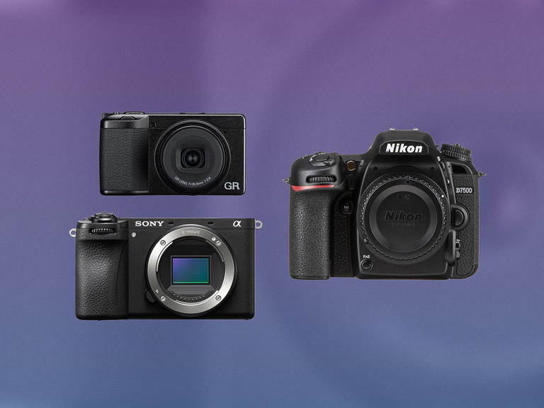 Point-and-shoot, DSLR or mirrorless: how to choose between camera types