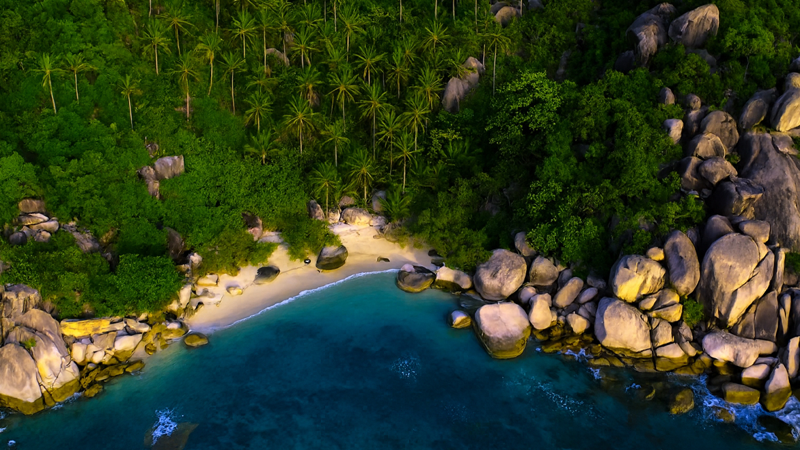 Nature’s Rhythm in 4K – Peaceful and Timeless Views