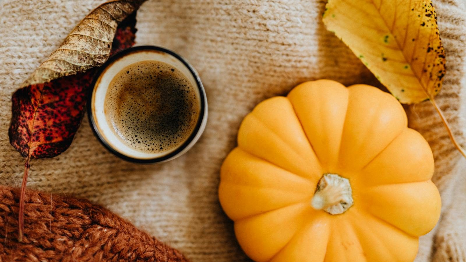 Aldi just released pumpkin spice everything - here are the best finds