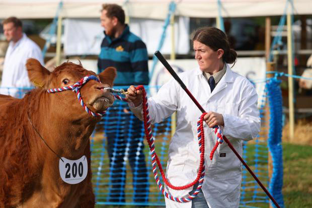 PHOTOS: 21 pictures as thousands attend Alresford Agricultural Show 2025