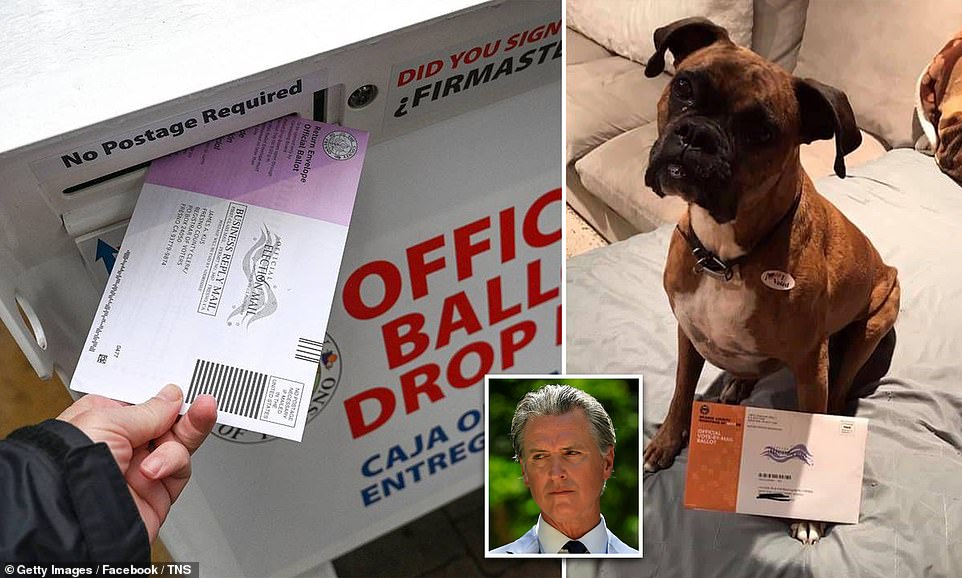 Woman registers her dog to vote