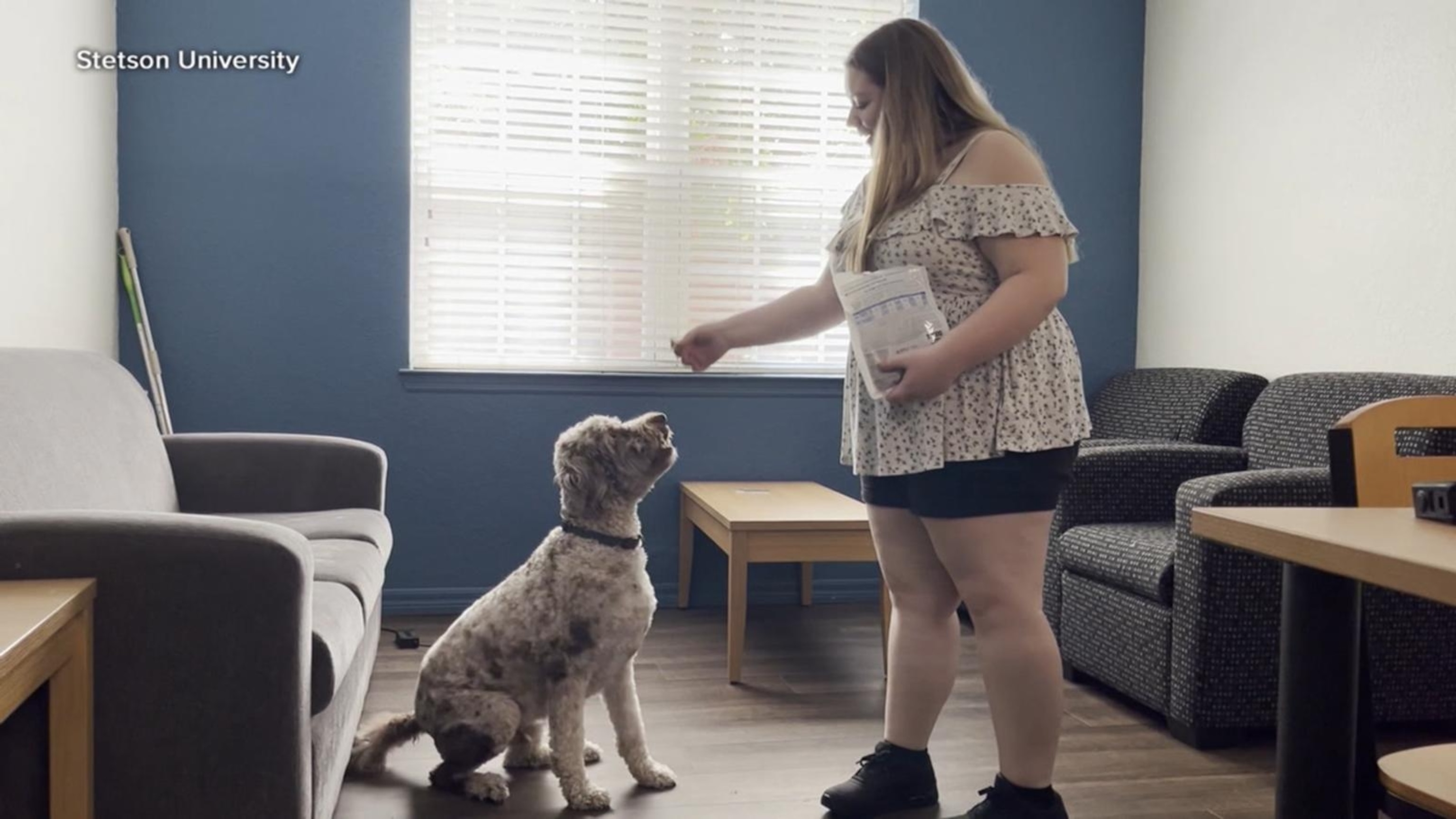 Colleges going pet-friendly