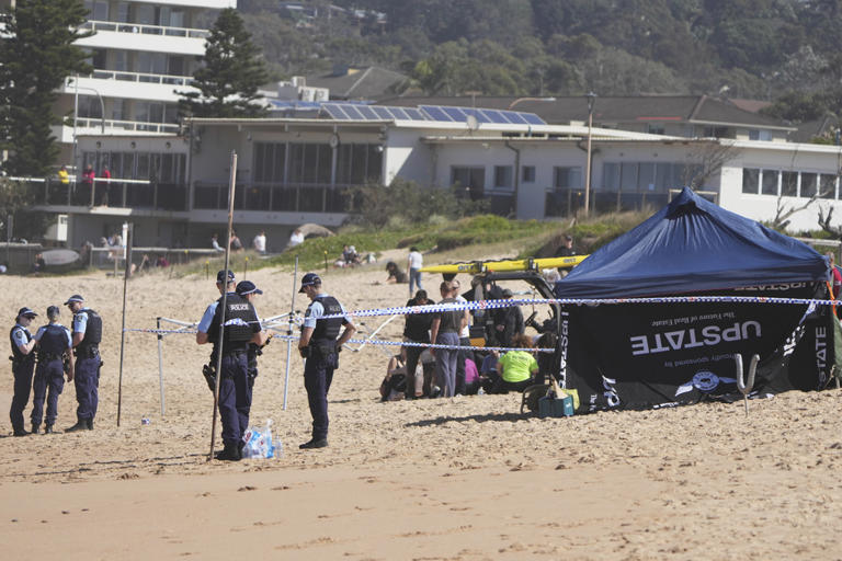 Shark kills beachgoer near Sydney