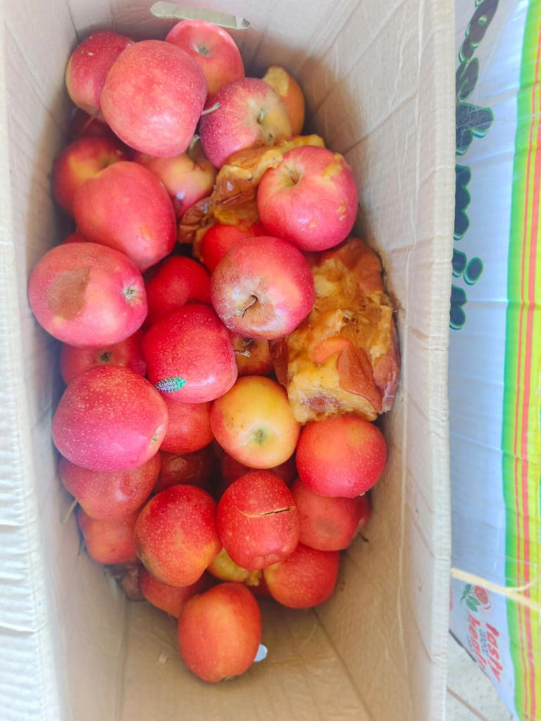 As floods ravage orchards & highway closures choke trade, Kashmir apple ...