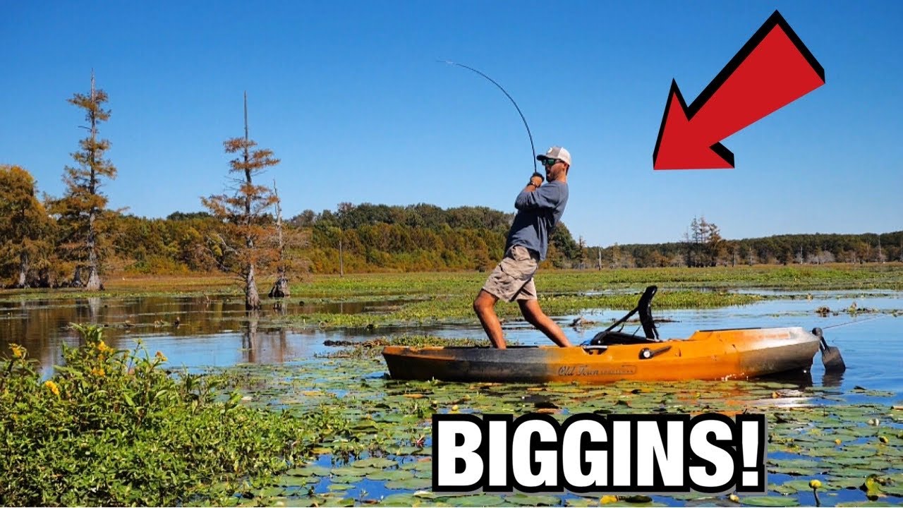 Epic Fall Bass Fishing Smackdown Worth the Wait