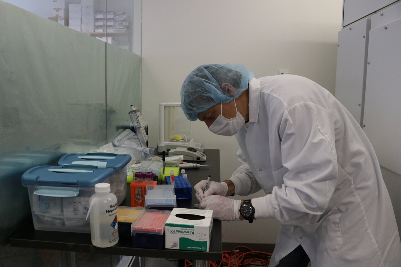 Researchers quantify rate of essential evolutionary process in the ocean