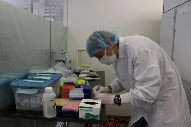 Researchers quantify rate of essential evolutionary process in the ocean