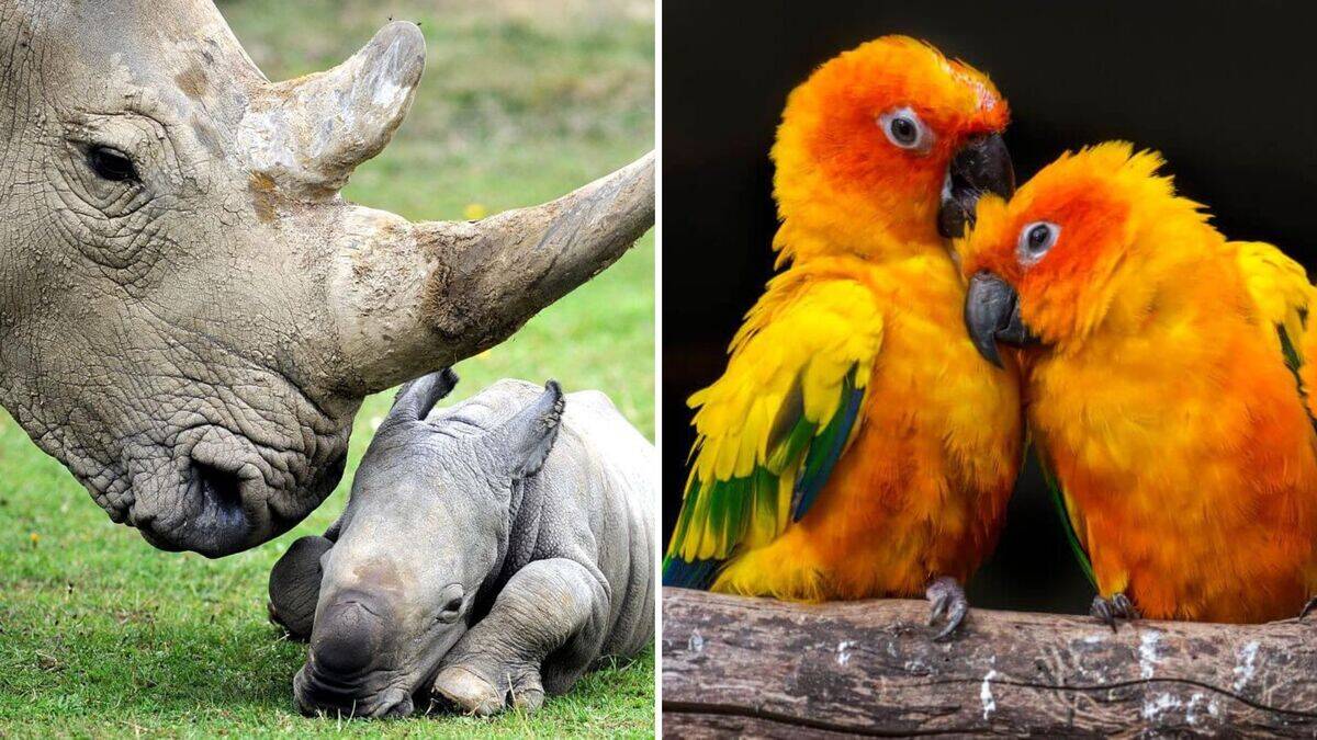 28 Intriguing things to know about the animal kingdom