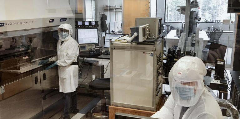 Researchers quantify rate of essential evolutionary process in the ocean