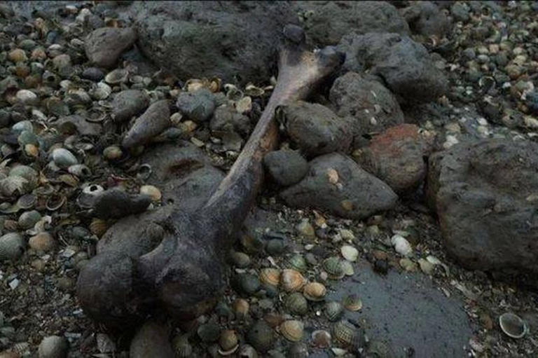 UK's dead man's island full of human remains where people are banned to ...