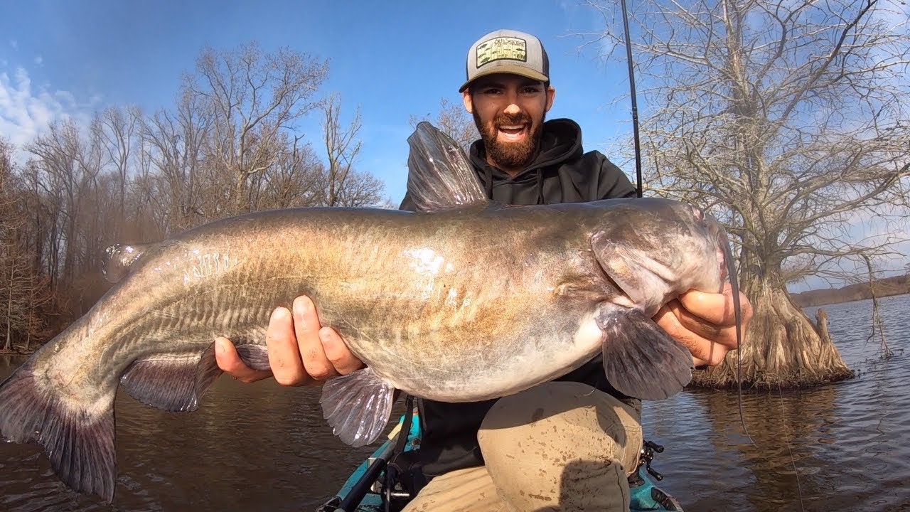 Giant catfish destroys me while bass fishing unexpectedly