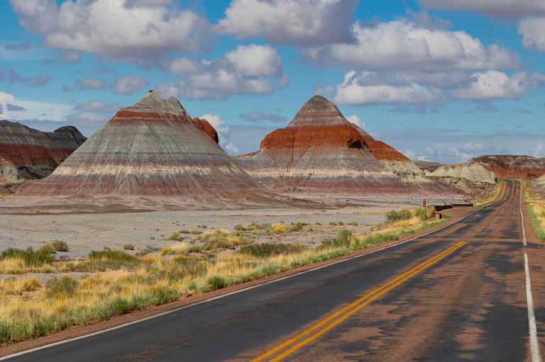 This National Park in the Painted Desert Has a ‘Rainbow Forest’—and ...