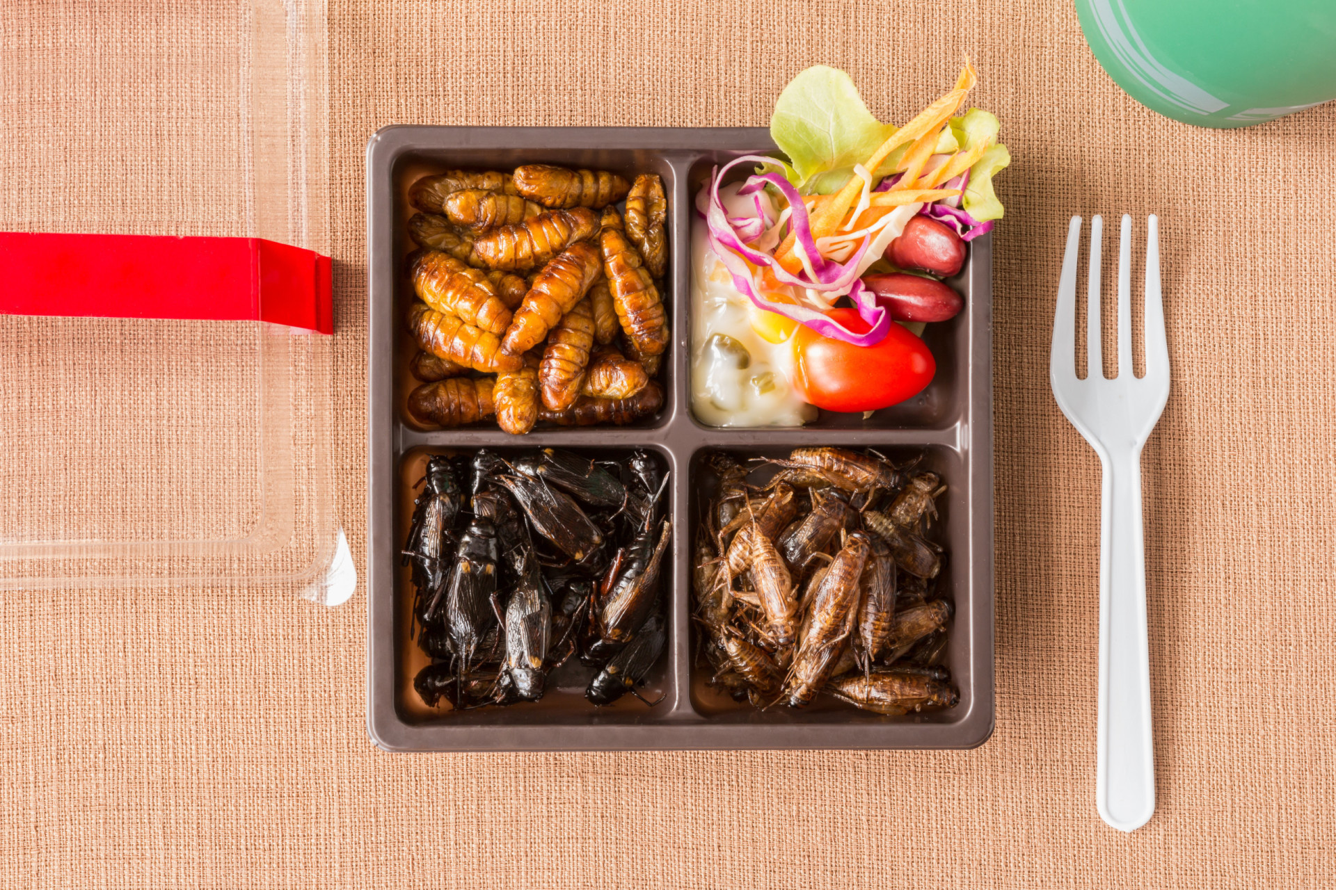 Manger des insectes, un geste bon pour la planète