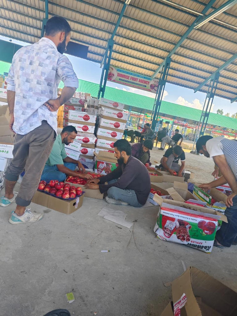 As floods ravage orchards & highway closures choke trade, Kashmir apple ...