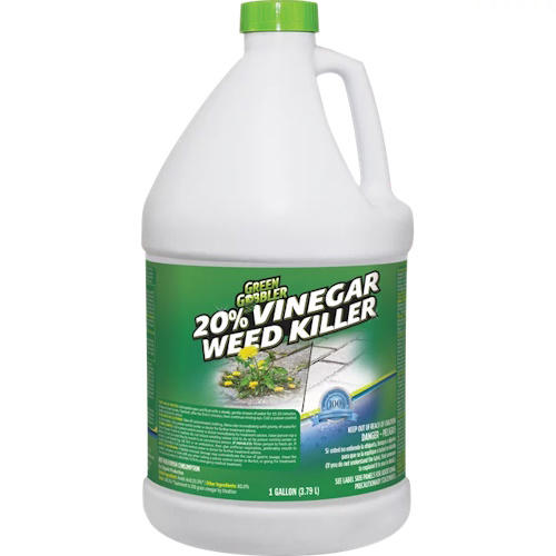 Does bleach kill weeds? Yes, but you should never, ever use it – here's ...