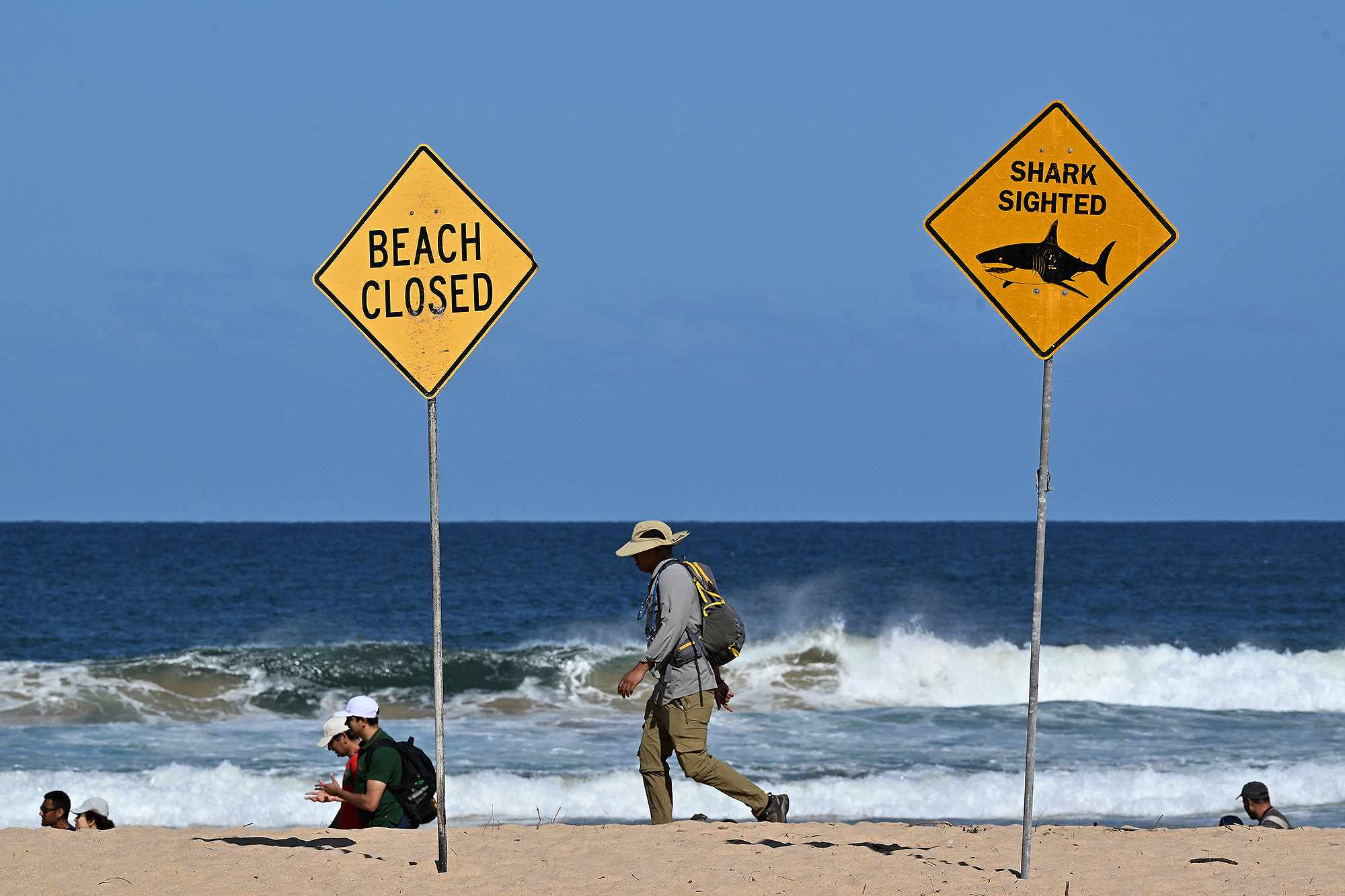 Father, 57, Killed in ‘Freak’ Shark Attack 30 Minutes After Entering ...