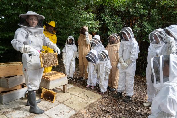 Families get up close and personal with bees at special event