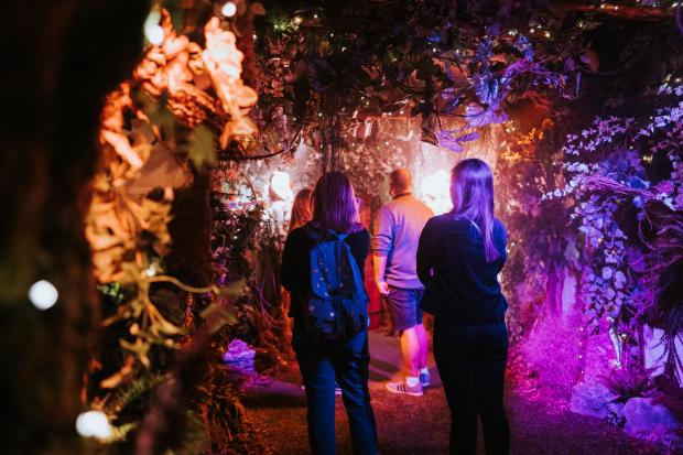 South east London warehouse to transform into immersive winter wonderland