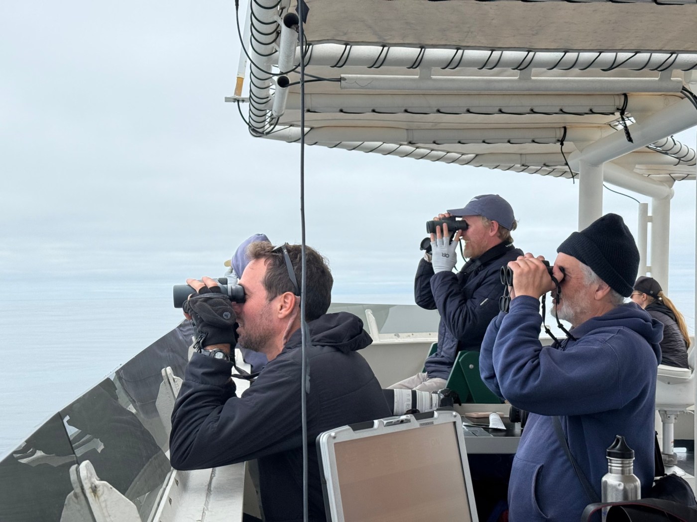 Lisa Wooninck, Finding Sanctuary: Surveying offshore life above ...