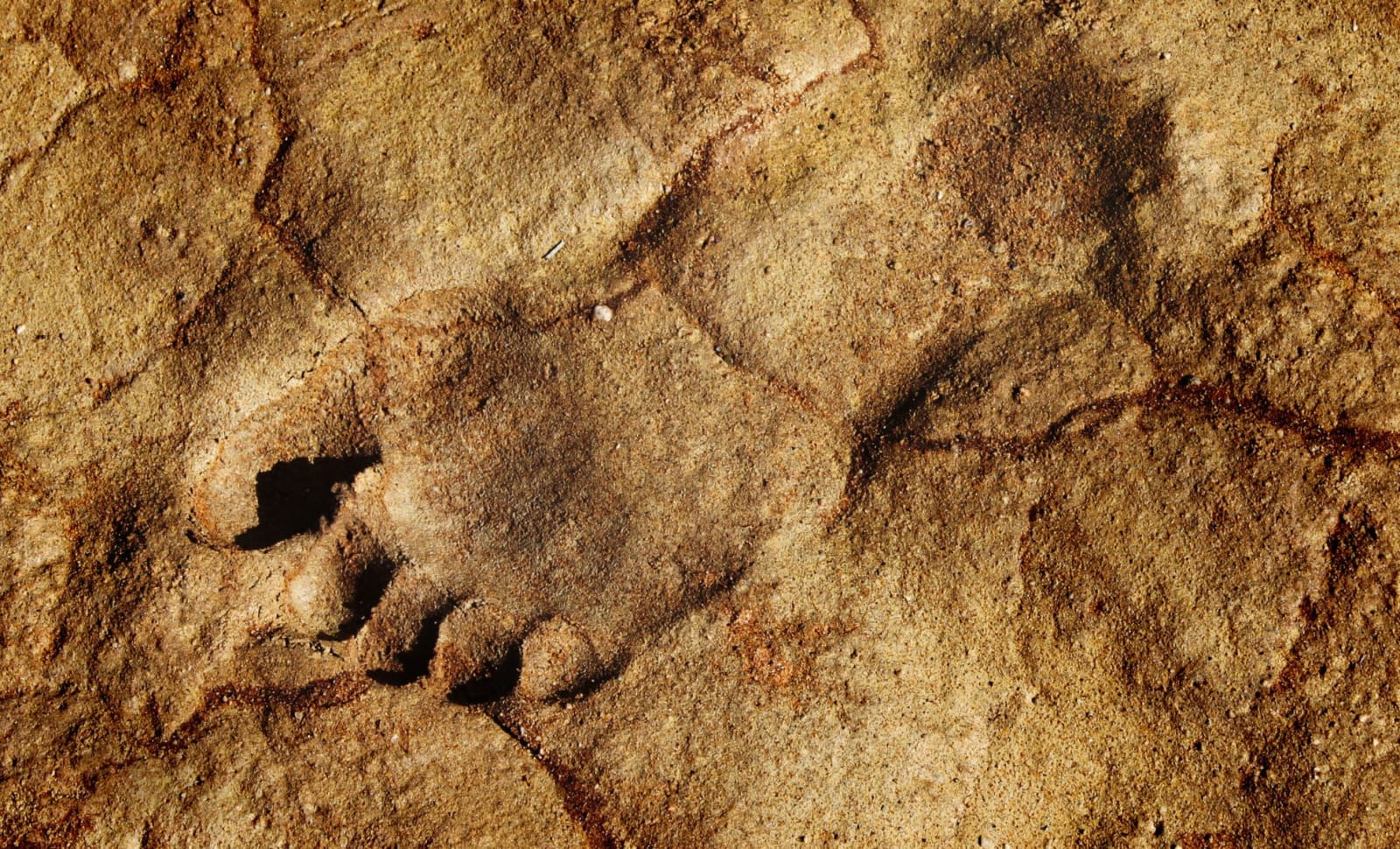 Ancient Footprints In Germany Capture A Prehistoric Family Moment ...