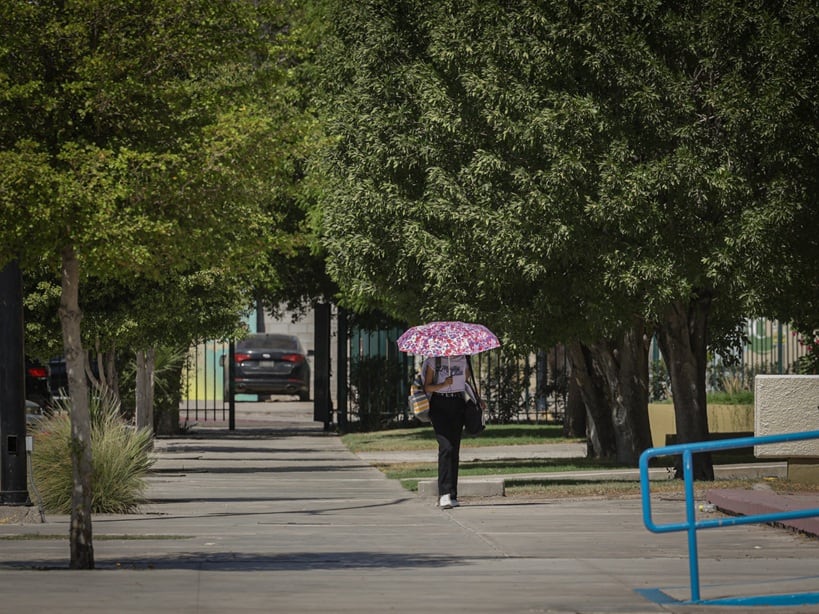 Temperaturas máximas de hasta 38 grados centígrados