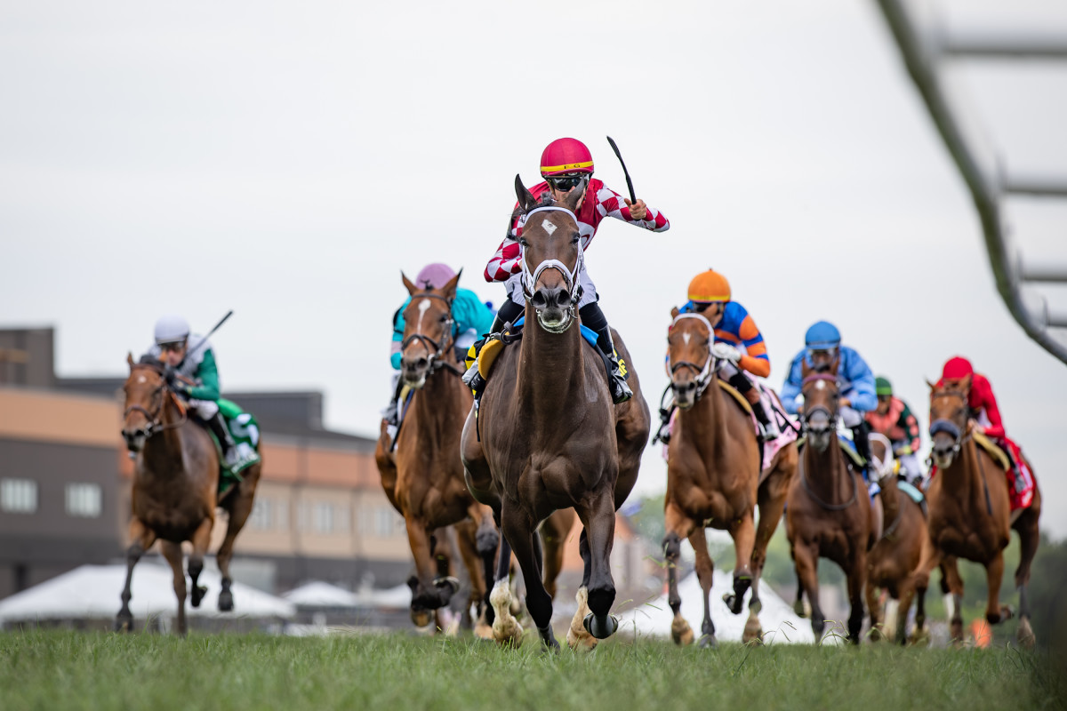 Stellify Scores On Front End In Ladies Marathon At Kentucky Downs