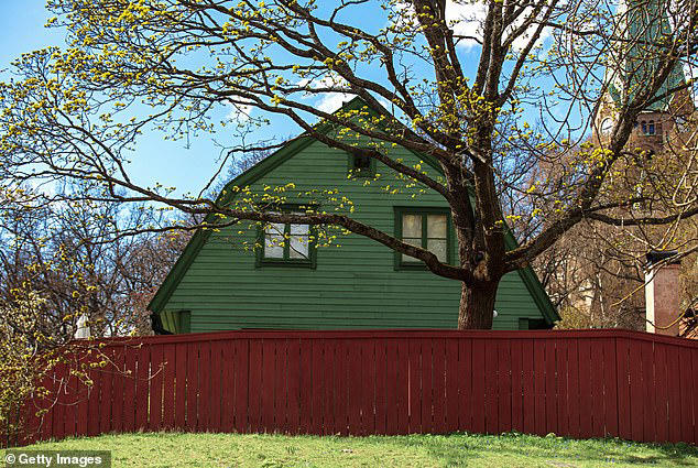 Sick of your neighbor's tree hanging in your backyard - stark warning ...