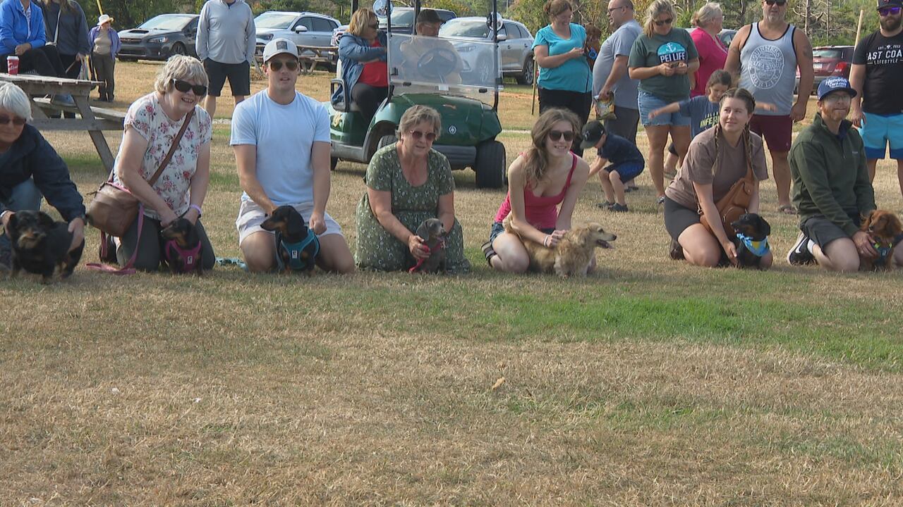 Wienerpawlooza draws dozens of dogs to compete in different contests