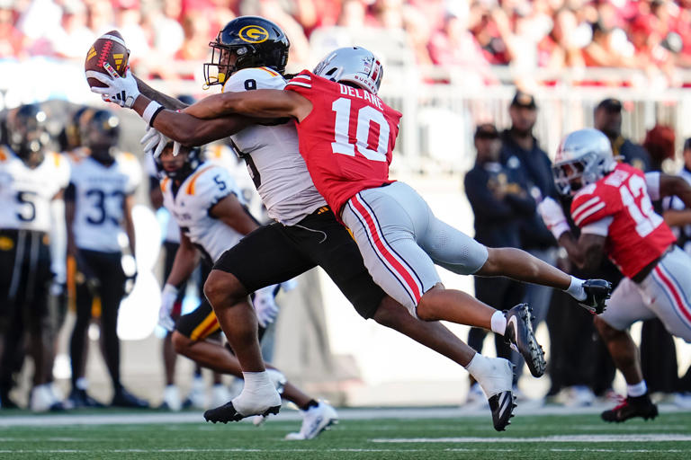 LSU football transfer portal tracker: Ohio State safety visiting LSU