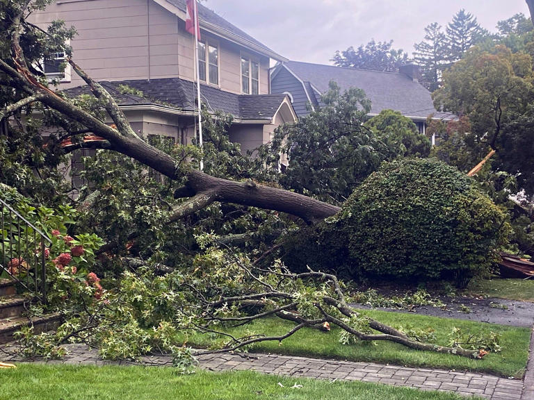 Thunderstorms Topple Trees Onto Houses And Pull Down Wires In Bergen ...