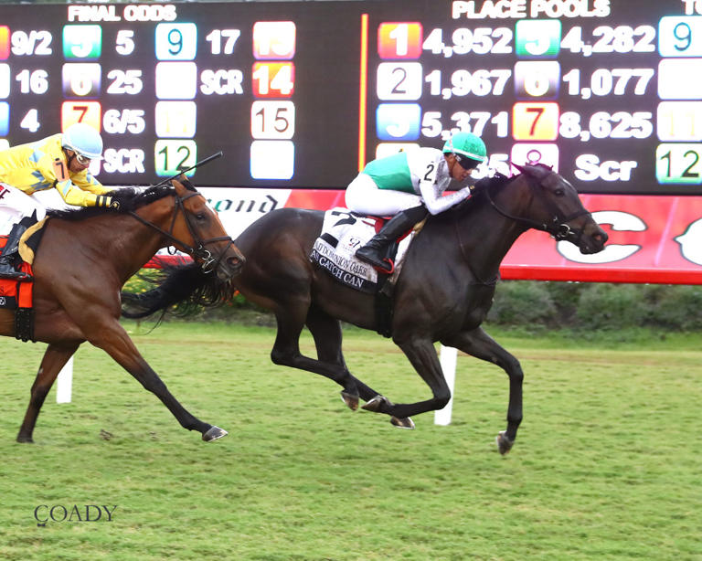 Jonathan Thomas trio, Irish Group 1-placed Atsila aim for top-level ...