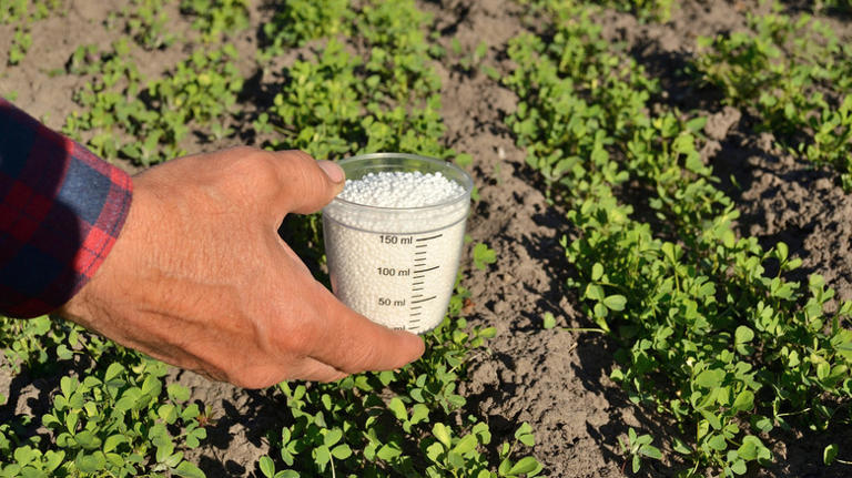 How To Repurpose Measuring Cups In Your Garden