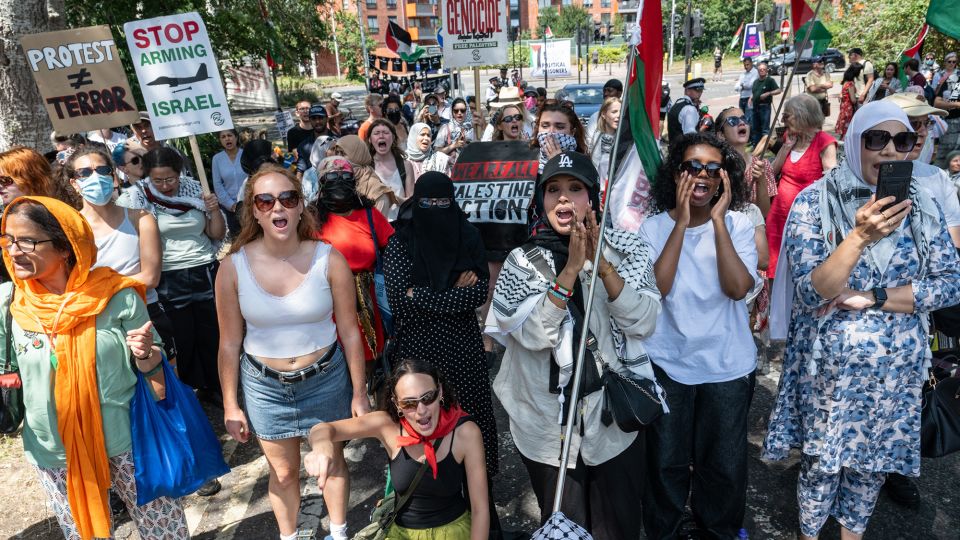 What is Palestine Action, the group linked to hundreds of arrests in ...