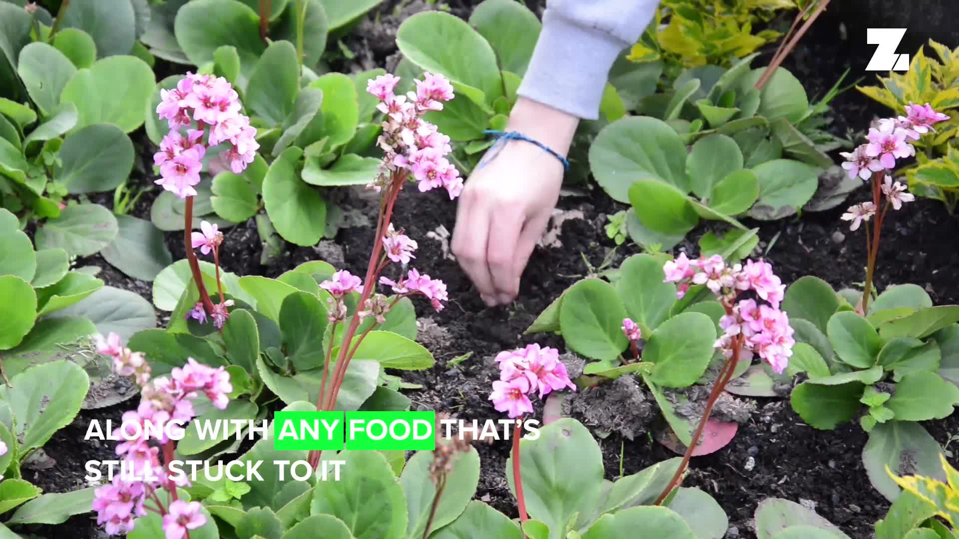 Think you're an expert recycler? Think again.