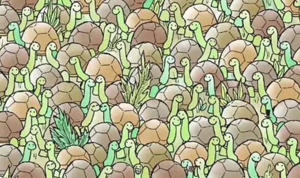 Only those with high IQ can find the snake hidden among the tortoises