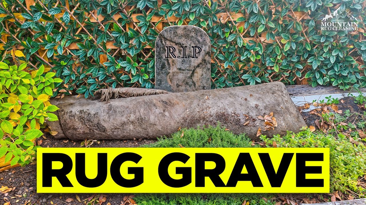 Unearthing a Buried Rug for Full ASMR Cleaning