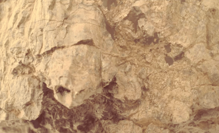 NASA Rover Snaps Photo of ‘Turtle’ on Mars — And It’s Too Real to Ignore