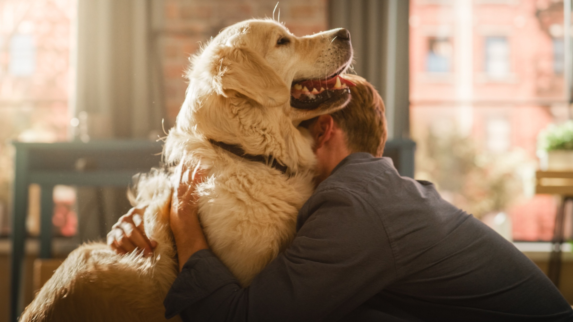 9 Clear Signs Your Dog Trusts You