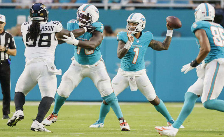 Los Dolphins buscan un nuevo entrenador, pero tiene que cumplir una ...